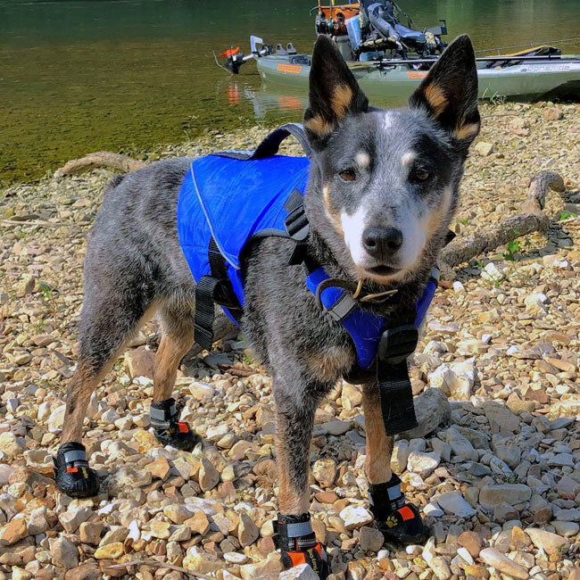 Stohlquist - Since 1977